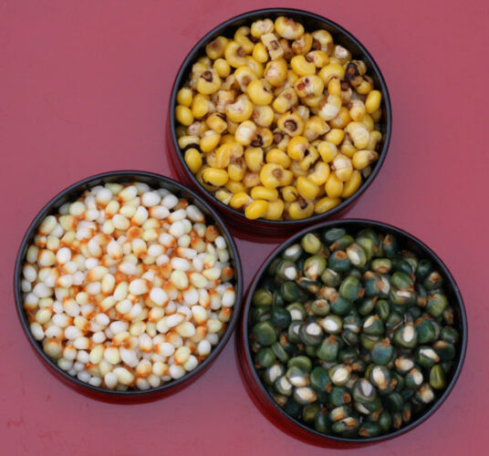 How is Hominy Made? – Mother Earth News